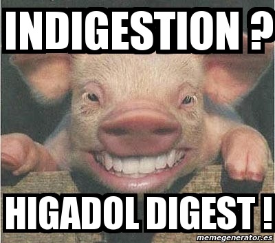 Meme Personalizado - indigestion ? higadol digest ! - 848784