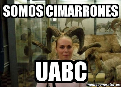 Uas Meme UA PAROU PRA PENSAR QUE PRA DORMIR VocE TEM QUE FINGIR QUETA