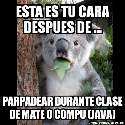 Meme Koala - Esta es tu cara despues de ... PARPADEAR DURANTE CLASE DE ...