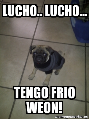 Meme Personalizado - lucho.. lucho... tengo frio weon! - 90042