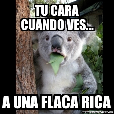 Meme Koala - tu cara cuando ves... a una flaca rica - 927806