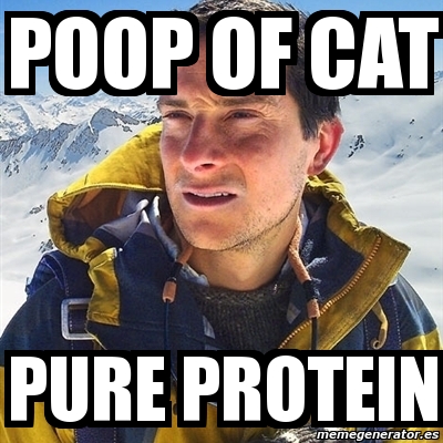 Meme Bear Grylls - poop of cat pure protein - 940490
