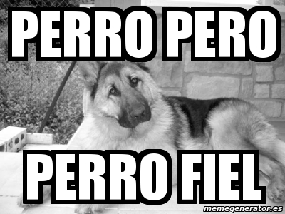 Meme Personalizado - perro pero perro fiel - 950482