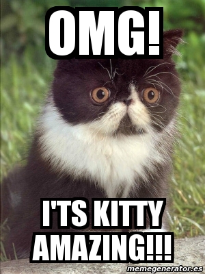 Meme Personalizado - omg! i'ts kitty amazing!!! - 985261