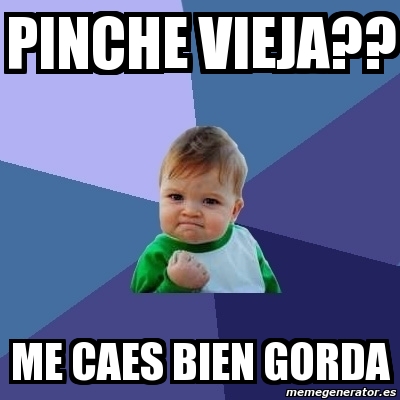Meme Bebe Exitoso - pinche vieja?? me caes bien gorda - 991940