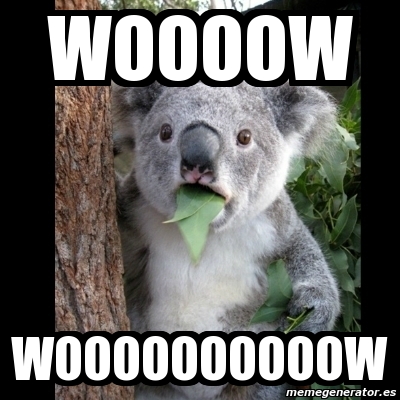 Meme Koala - woooow woooooooooow - 1010096