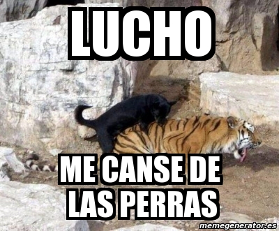 Meme Personalizado - lucho me canse de las perras - 1129936