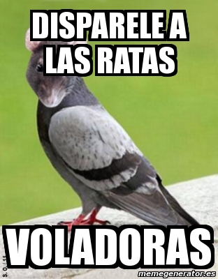 Meme Personalizado - disparele a las ratas voladoras - 1132680