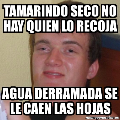 Meme Stoner Stanley - tamarindo seco no hay quien lo recoja agua ...