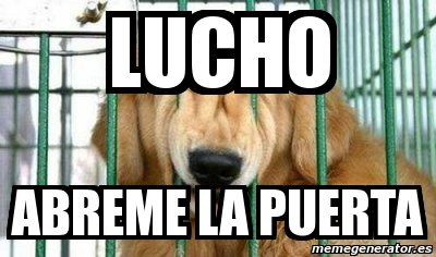 Meme Personalizado - LUCHO abreme la puerta - 1145626