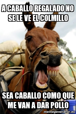 Memes Del Caballo