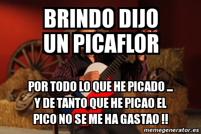Meme Personalizado - BRINDO DIJO UN PICAFLOR Por todo lo que he picado ...