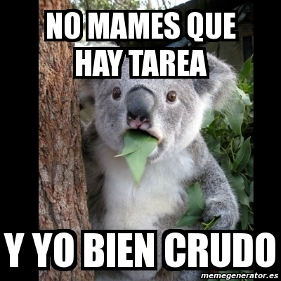 Meme Koala - no mames que hay tarea y yo bien crudo - 1163483