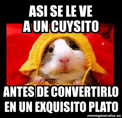 Meme Personalizado - asi se le ve a un cuysito antes de convertirlo en ...