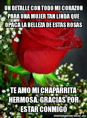 Memes Una Rosa Para Ti