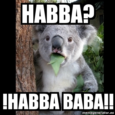 Meme Koala - HABBA? !HABBA BABA!! - 1187783