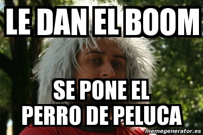 Meme Personalizado - le dan el boom se pone el perro de peluca - 1022859
