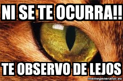 Meme Personalizado - ni se te ocurra!! te observo de lejos - 1025883