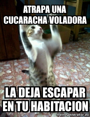 Meme Personalizado - atrapa una cucaracha voladora la deja escapar en ...