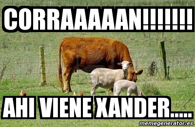 Meme Personalizado - corraaaaan!!!!!!! ahi viene xander..... - 1248171