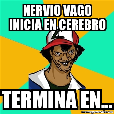 Meme Ash Pedreiro - nervio vago inicia en cerebro termina en... - 1252396