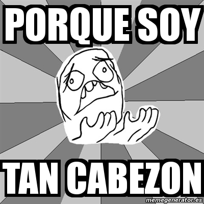 Meme Whyyy - porque soy tan cabezon - 1261012