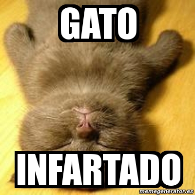 Meme Personalizado - gato infartado - 1270282