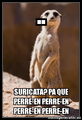 Meme Personalizado - .. SURICATA? PA QUE PERRE-EN PERRE-EN PERRE-EN ...
