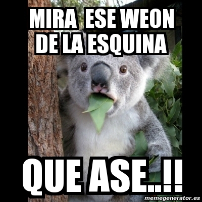 Meme Koala - mira ese weon de la esquina que ase..!! - 1307788