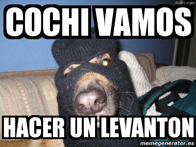Meme Personalizado - cochi vamos hacer un levanton - 1325827