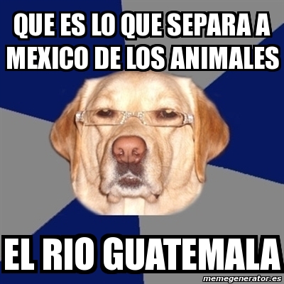 Memes Perros Mexico