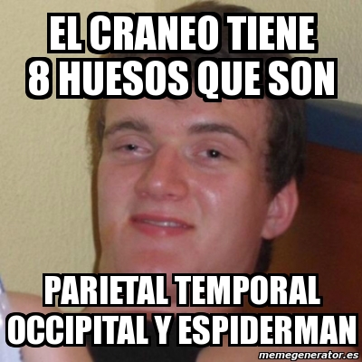 Meme Stoner Stanley - el craneo tiene 8 huesos que son parietal ...