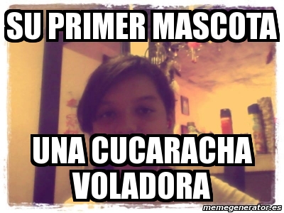 Meme Personalizado - su primer mascota una cucaracha voladora - 1046071