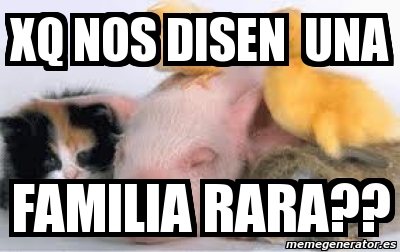 Meme Personalizado - xq nos disen una familia rara?? - 1428977