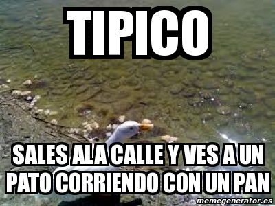 Meme Personalizado - tipico sales ala calle y ves a un pato corriendo ...
