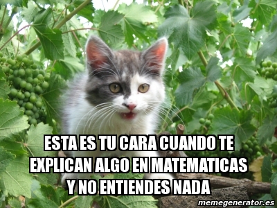 Meme Personalizado - Esta es tu cara cuando te explican algo en ...