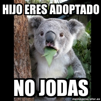 Meme Koala - hijo eres adoptado no jodas - 1469297