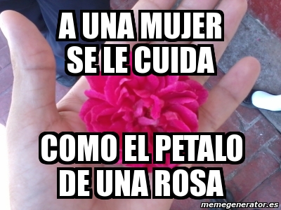 Meme Personalizado - A una mujer se le cuida como el petalo de una rosa ...