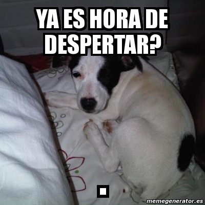 Meme Personalizado - YA ES HORA DE despertar? . - 1496108