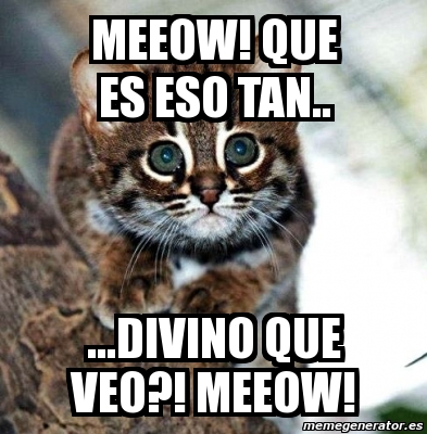 Meme Personalizado - Meeow! Que es eso tan.. ...divino que veo?! meeow ...