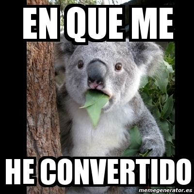 Meme Koala - En que me he convertido - 1532729