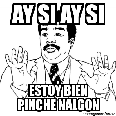 Meme Ay Si - AY SI AY SI ESTOY BIEN PINCHE NALGON - 1548779