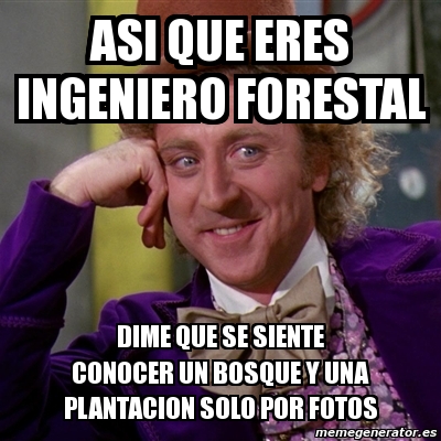 Meme Willy Wonka - asi que eres ingeniero forestal dime que se siente conocer un bosque y una ...