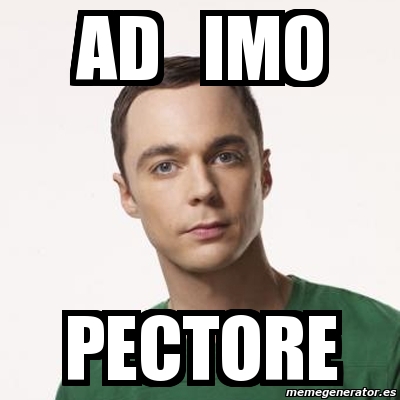 Meme Sheldon Cooper - AD IMO PECTORE - 1583022