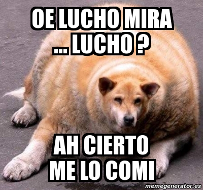 Meme Personalizado - oe lucho mira ... lucho ? ah cierto me lo comi ...