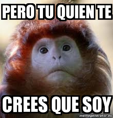 Meme Personalizado - pero tu quien te crees que soy - 1589065