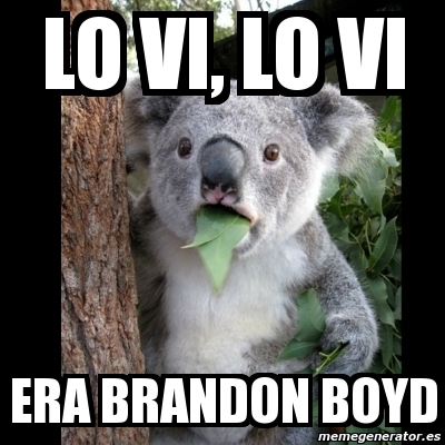 Meme Koala - lo vi, lo vi era brandon boyd - 1068925
