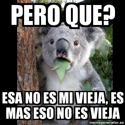 Meme Koala - pero que? esa no es mi vieja, es mas eso no es vieja - 1600144