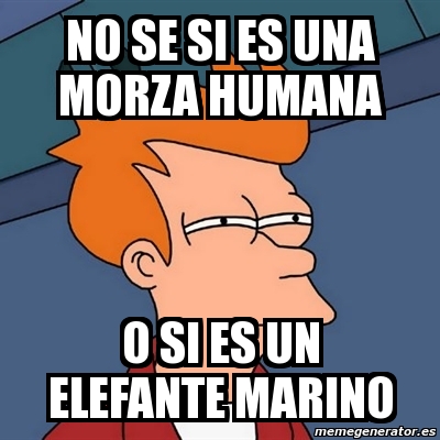 Meme Futurama Fry - no se si es una morza humana o si es un elefante ...