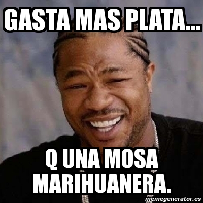 Meme Yo Dawg - gasta mas plata... q una mosa marihuanera. - 1640056